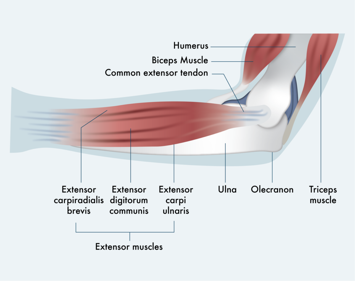 Elbow - Pacific Crest Orthopedics